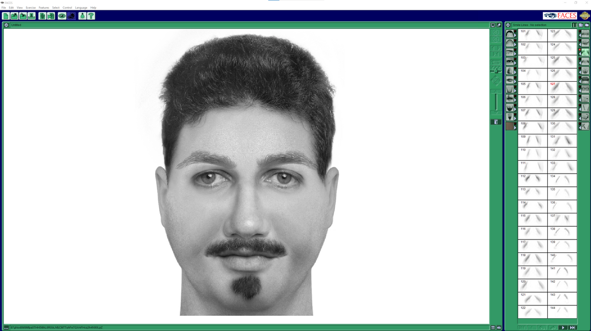 Faces 4.0 EDU for Teachers (Single User License, Download) – Faces ...